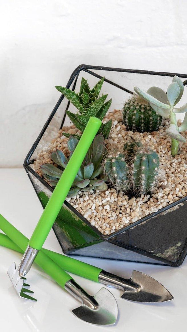 Terrarium tool set