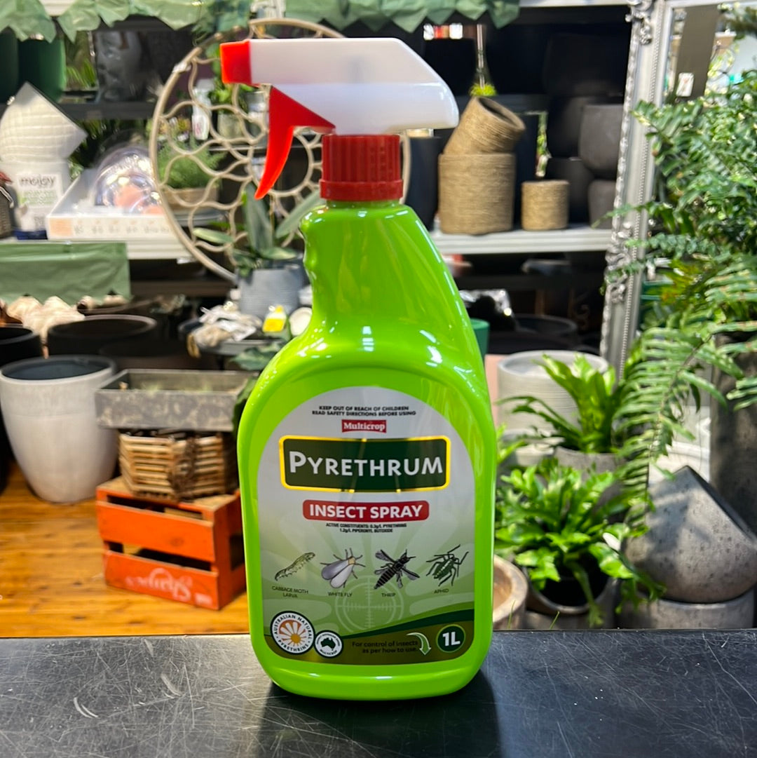 Pyrethrum Insecticide Spray Oil
